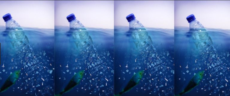 The negative effects of plastic water bottles on our health - All About ...